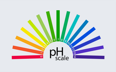 Ph scale chart for acid and alkaline solutions Vector Image