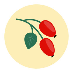Rosehip plant cartoon Royalty Free Vector Image