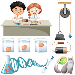 Science Experiment With Egg Float Test Royalty Free Vector