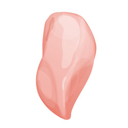 Chicken fillet meat part breast top view Vector Image