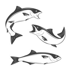 Sportfish Vector Images (over 140)