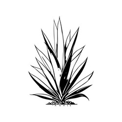 Agave icon hand draw black plant logo symbol Vector Image