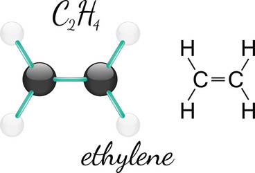 C2h4 ethylene molecule Royalty Free Vector Image