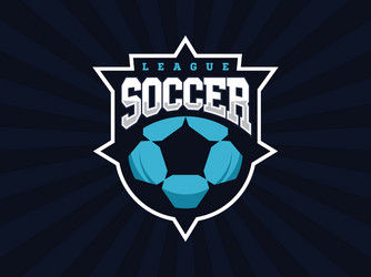 Modern professional soccer logo set for sport team