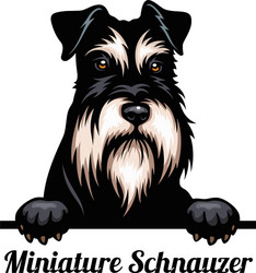 Schnauzer Logo Vector Images (over 170)