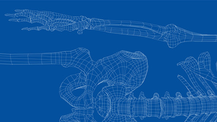 Anatomy Blueprint Vector Images (over 260)