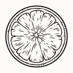 Fruit Cross Section Vector Images (over 1,500)