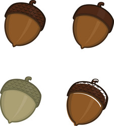Acorn Cartoon Vector Images (over 8,800)