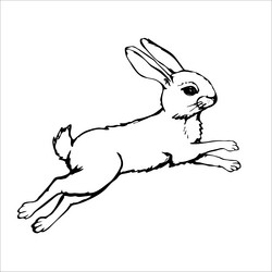 Black outline rabbit Royalty Free Vector Image