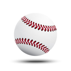 Baseball leather ball Royalty Free Vector Image