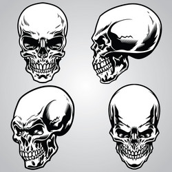 Skull Vector Images (over 200,000)