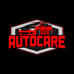 Detailing car logo and wash Royalty Free Vector Image