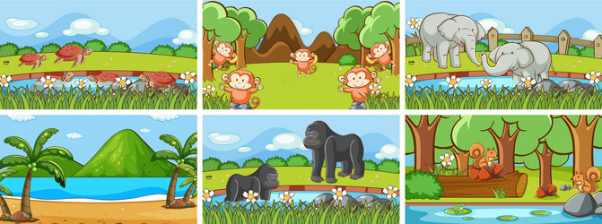 Four scenes with wild animals in forest Royalty Free Vector