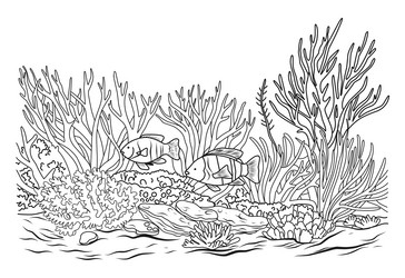 Ocean bottom coloring page with fish and algae Vector Image