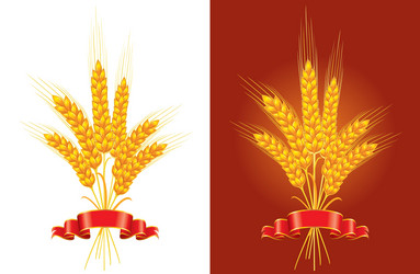 Wheat Vector Images (over 120,000)