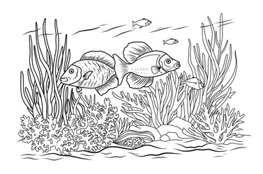 Ocean bottom coloring page with fish and algae Vector Image