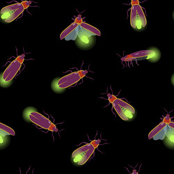 Firefly Vector Images (over 4,500)
