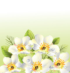 Scrip Vector Images (85)