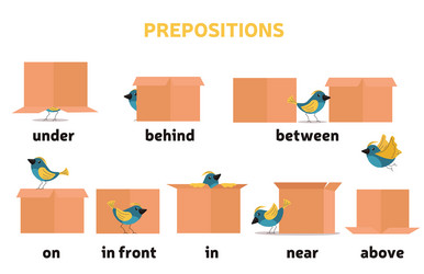 English prepositions of place visual aid Vector Image