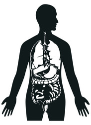 Human Body Silhouette Medical