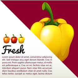 Green capsicum with roots Royalty Free Vector Image