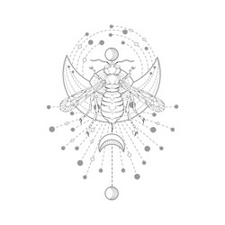 Bee Sacred Geometry Vector Images (98)