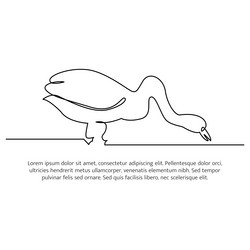 Swan line design decorative elements drawn Vector Image