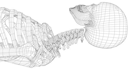 Anatomy Blueprint Vector Images (over 260)