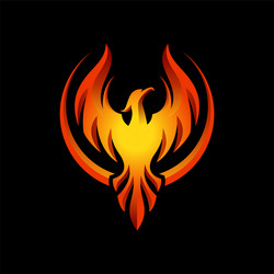 Colorful phoenix logo designs template Royalty Free Vector