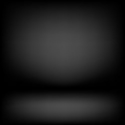 Black ambient white spot light background Vector Image