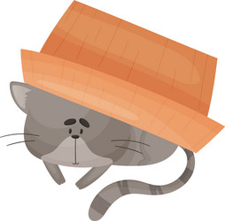 Cat Under Box Vector Images (54)