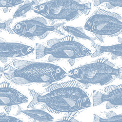 Freshwater Fish Drawing Vector Images (over 2,800)