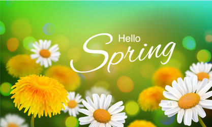 Hello summer background Royalty Free Vector Image