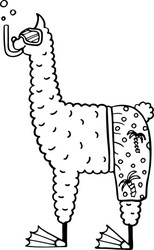 Lama hand drawing Royalty Free Vector Image - VectorStock