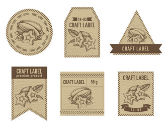 Craft labels with physalis Royalty Free Vector Image