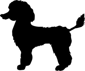 Poodle Vector Images (over 6,500)