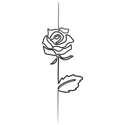 Rose flower one line drawing minimalist design Vector Image