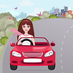 Girls driving car Royalty Free Vector Image - VectorStock
