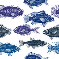 Freshwater Fish Drawing Vector Images (over 2,800)