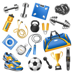Sport equipment Royalty Free Vector Image - VectorStock