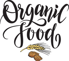 Kitchen cooking lettering inscriptions color logo Vector Image