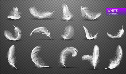 Big set white realistic different fluffy Vector Image
