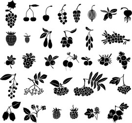 Berries Vector Images (over 220,000)