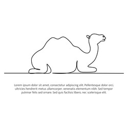 Camel line design simple animal silhouette Vector Image