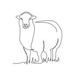 Continuous one line drawing a little lamb sheep Vector Image