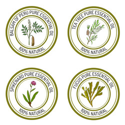 Set of essential oil labels Royalty Free Vector Image