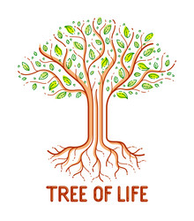 Tree of life and death the cycle Royalty Free Vector Image