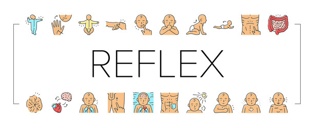 Reflex of human neurology system icons set Vector Image