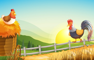 Rooster crowed in farm fields against rising sun Vector Image