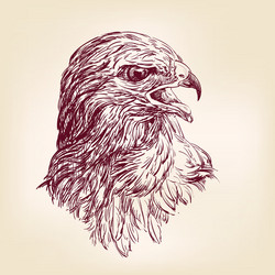 Hawk Vector Images (over 31,000)